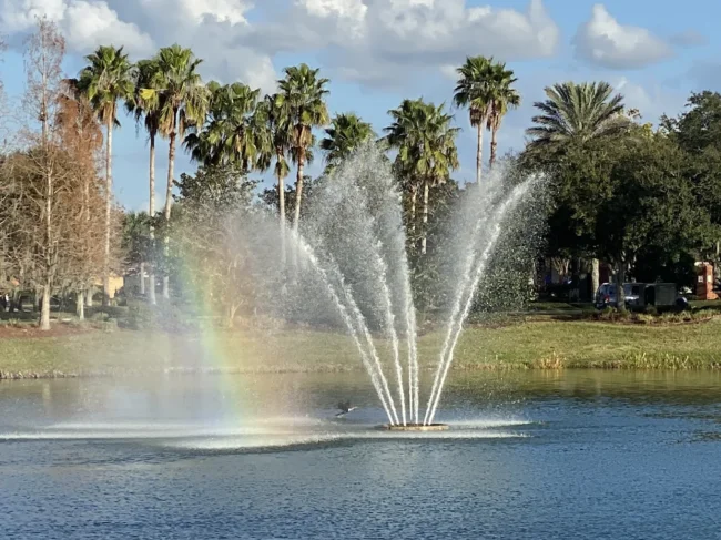 Seven Oaks Nature Trail | Scenic Walking Trail in Wesley Chapel